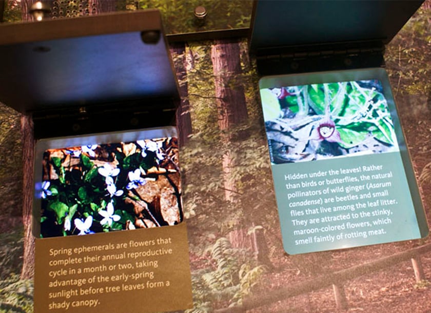 Interactive Museum at Farm Wisconsin Discovery Center | Electrosonic
