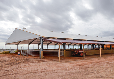 Fabric Riding Arenas & Horse Barns