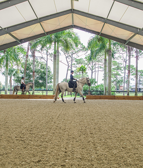 Equestrian Arenas & Barns
